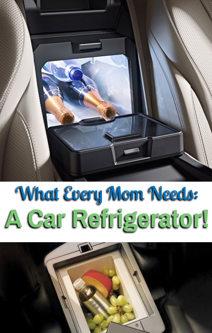 Hot stuff: The In-Car Refrigerator | AGirlsGuidetoCars | Fancy Car Gadgets