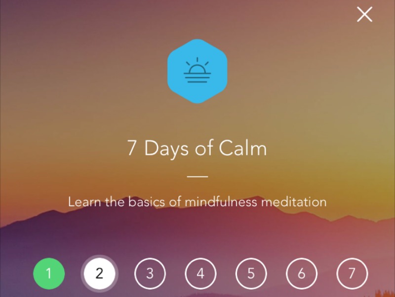 Turn Your Car Into A Place of Peace | AGirlsGuidetoCars | She Drives