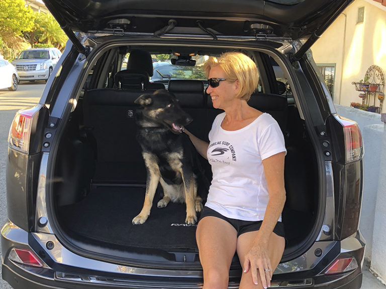 The 2018 Toyota RAV4 Hybrid SUV is a Best Bet For 2019- A Girls Guide ...