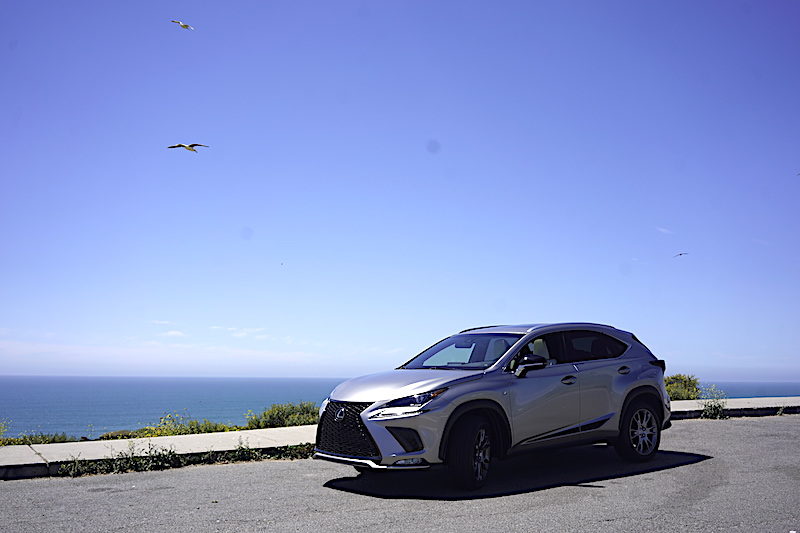 2019 Lexus NX 300 F SPORT: Fun, Sporty, Athluxury - A Girl's Guide to Cars