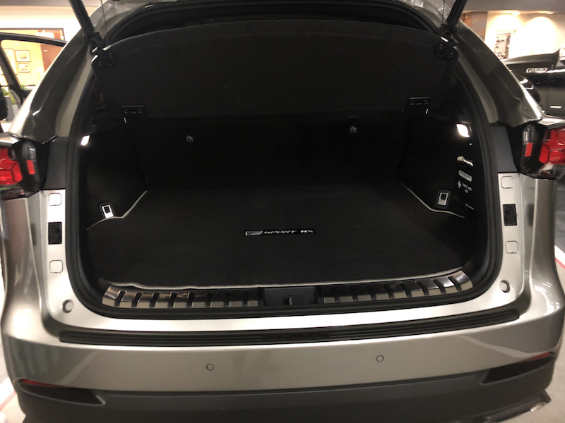 2019 Lexus NX 300 F SPORT: Fun, Sporty, Athluxury - A Girl's Guide to Cars