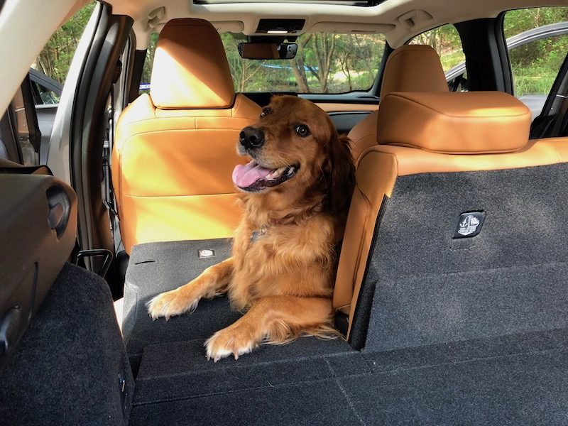 Is This Compact SUV the Perfect Car For City Life? - A Girls Guide to Cars