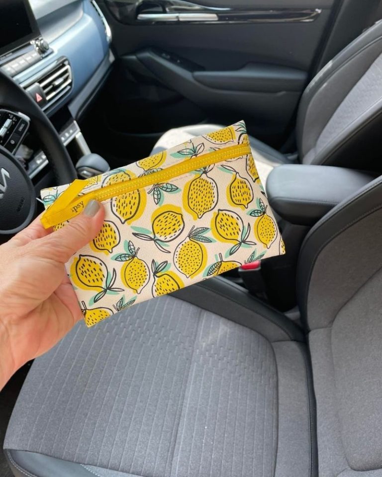 Our Favorite Beauty Essentials To Keep In Your Car – A Girls Guide to Cars