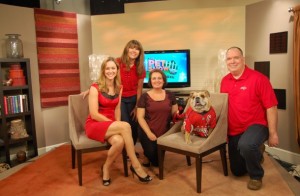 Caps Superfan Ovie The Bulldog Takes the WJLA TV Studios By Storm