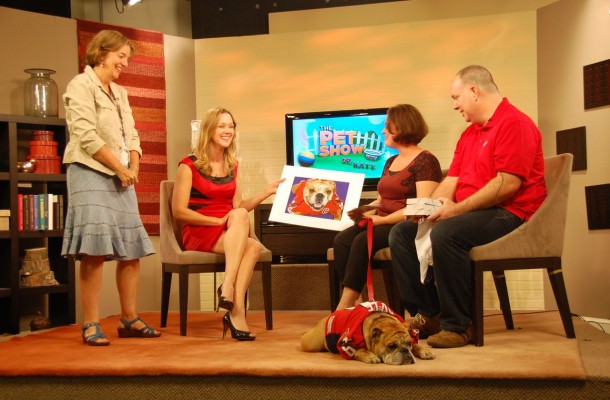 Caps Superfan Ovie The Bulldog Takes the WJLA TV Studios By Storm ...
