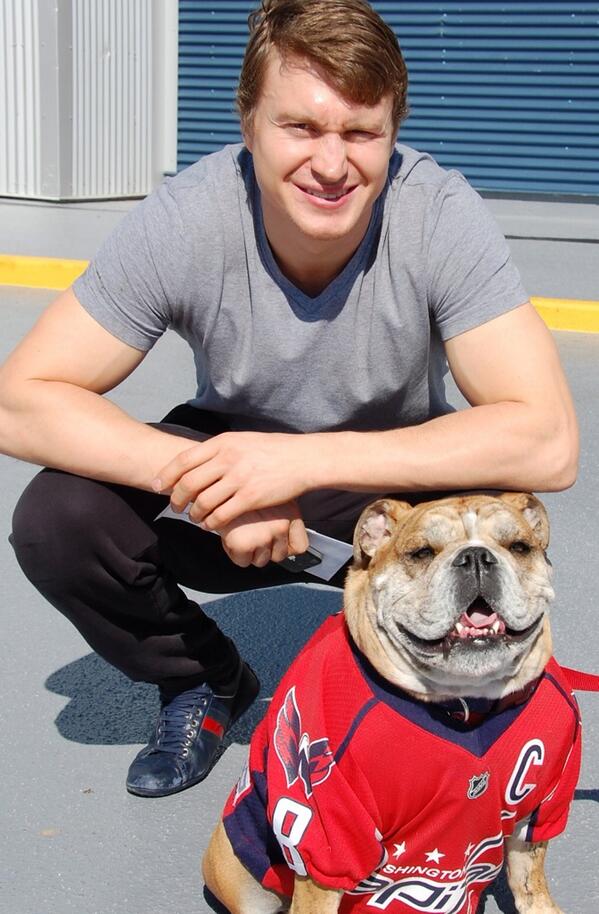 The Best of Ovie the Bulldog in D.C.