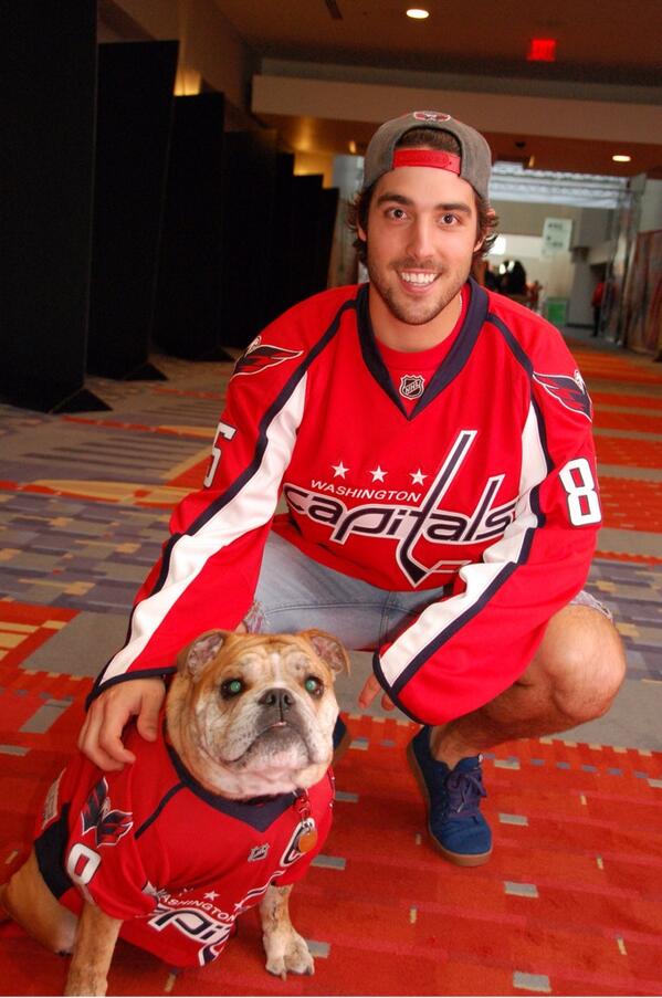 The Best of Ovie the Bulldog in D.C.