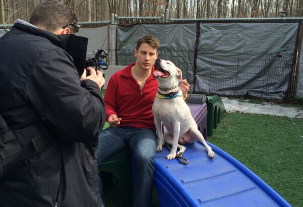 Photo Shoot with Strachan Strays