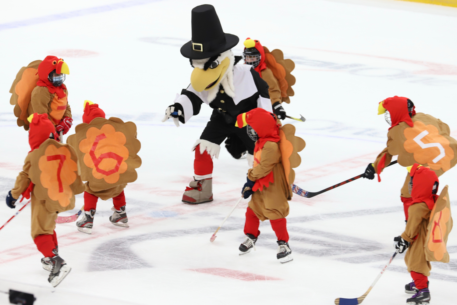 Photos: Turkeys on Ice!