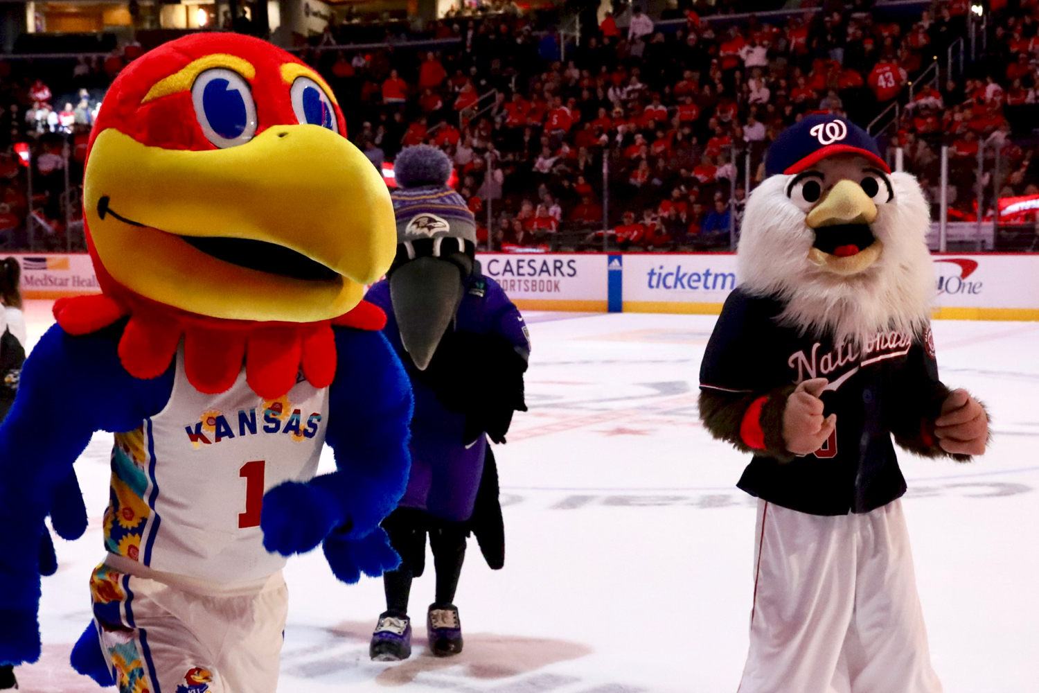 Slapshot Wins Mascot Musical Chairs