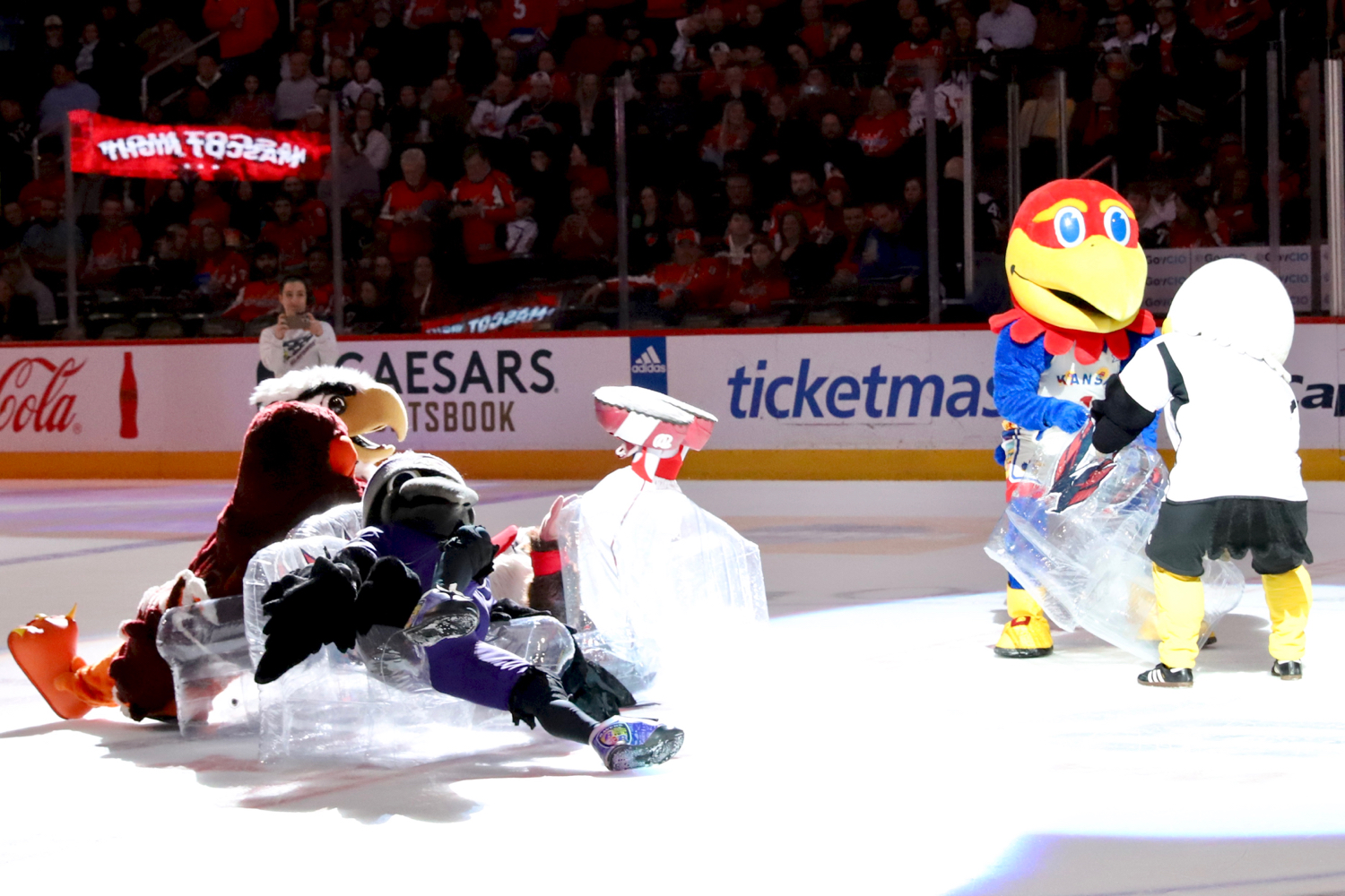 Slapshot Wins Mascot Musical Chairs