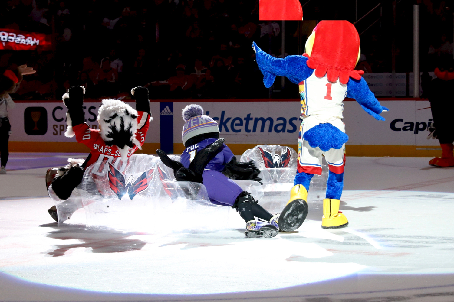 Slapshot Wins Mascot Musical Chairs