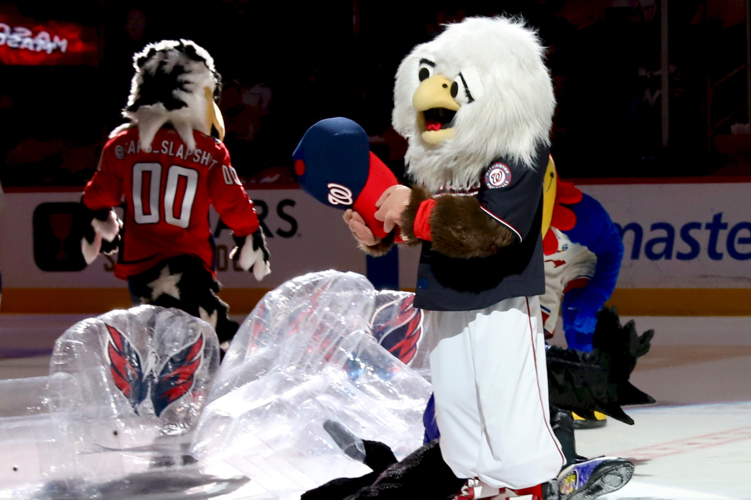 Slapshot Wins Mascot Musical Chairs