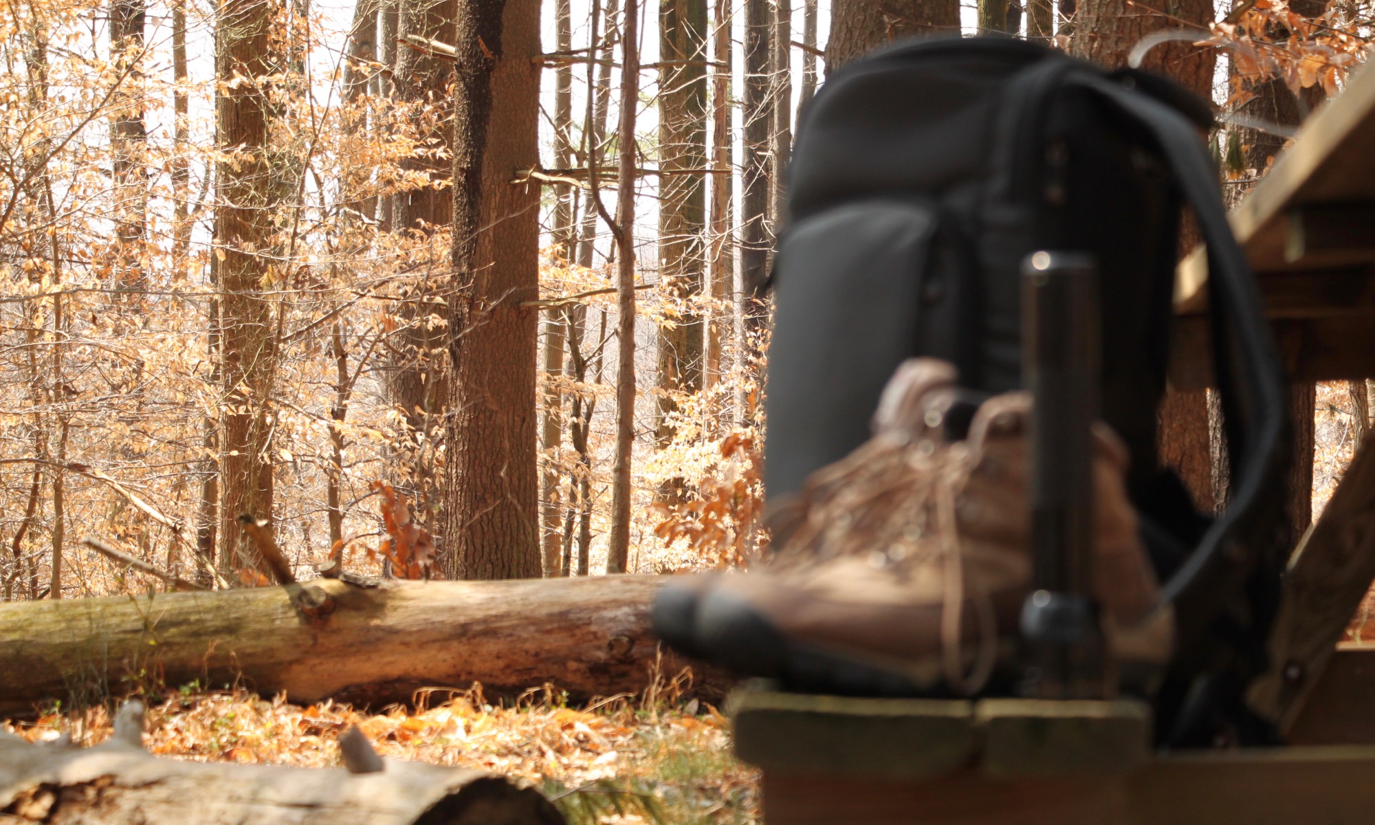 Five Camping Tips for Beginners - Off-Road Trips