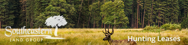 Land for Sale in Alabama, Florida, Georgia, Kentucky, Mississippi ...