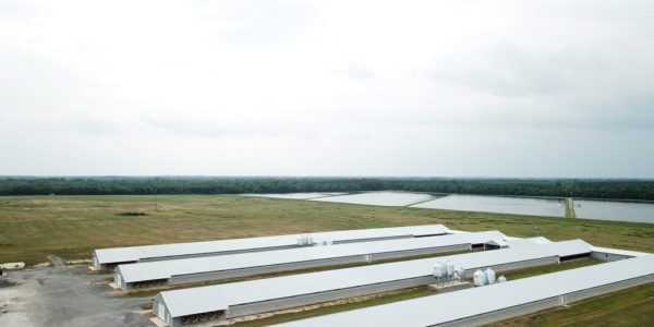 Land for Sale in Alabama, Florida, Georgia, Kentucky, Mississippi ...