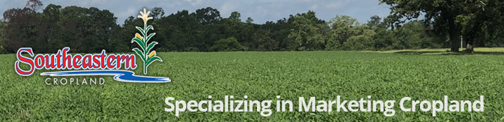 Land for Sale in Alabama, Florida, Georgia, Kentucky, Mississippi ...