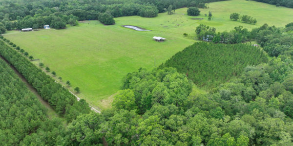 Land for Sale in Alabama, Florida, Georgia, Kentucky, Mississippi ...